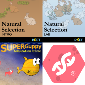 Lesson: Mutation, Adaptation, Natural Selection, and Extinction LS.11a ...