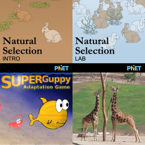 For Class: Natural Selection and Selective Breeding 7.11C - Free Games ...