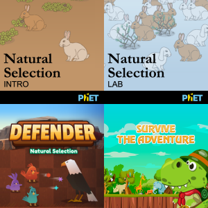 Worksheet: Natural Selection MS-LS4.B-1 - Free Games and Simulations ...