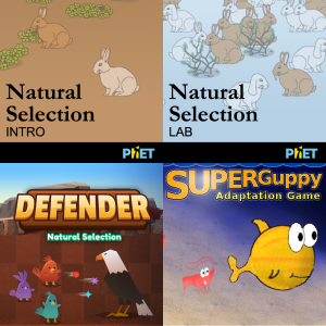 Worksheet: Natural Selection and Selective Breeding 7.11C - Free Games ...
