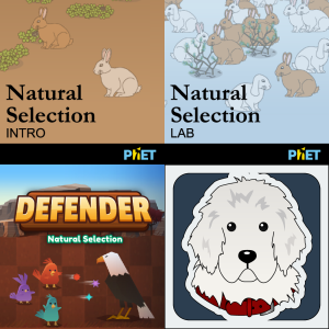 Teaching Plan: Natural Selection and Selective Breeding 7.11C - Free ...