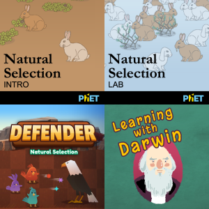 Student Lesson: Natural Selection MS-LS4.B-1 - Free Games and ...