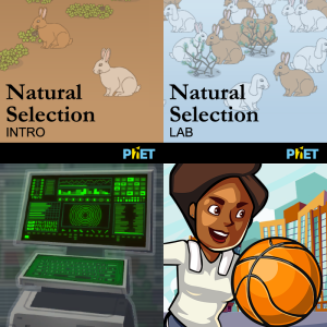 Student Lesson: Classification of Organisms SC.6.L.15.1 - Free Games ...