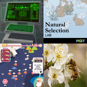 Student Lesson: Contributions of Genetic Variation and Environmental ...