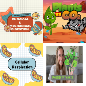 Lesson: Photosynthesis, Cellular Respiration and Digestion - Free Games ...