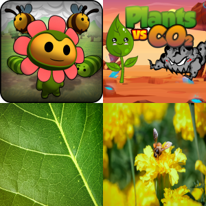For Class: Photosynthesis and Plant Structure - Free Educational Games ...