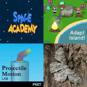 Practice: Projectile Motion - Lab - Free Games and Simulations ...