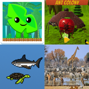 Free Homework Prep: Interactions in Ecosystems 6.12E - Free Educational ...