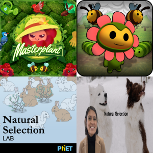 Free Lesson: Natural Selection MS-LS4.B-1 - Free Games, Simulations ...