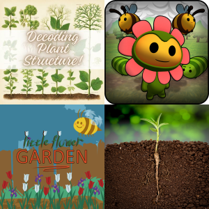 Student Lesson: Plant Structures and their Function SC.3.L.14.1 - Free ...