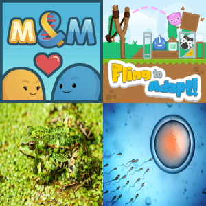 Worksheet: Sexual Reproduction and Genetic Variation MS-LS3.B-1 - Free ...