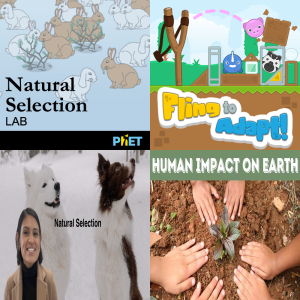 Game Based Learning: Human Impacts on Earth - Free Games, Simulations ...