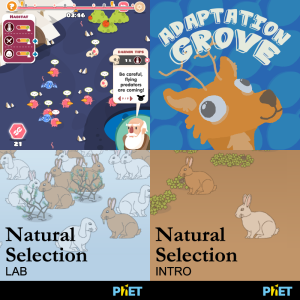 Lesson: Natural Selection and Selective Breeding 7.11C - Free Games and ...