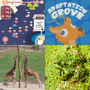 Lesson: Natural Selection: Adaptation Game - Free Games and Assessments ...