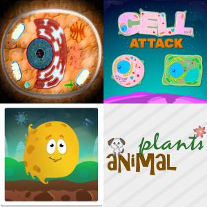 Free Homework Prep: Plant vs. Animal Cells SC.6.L.14.4 - Free ...