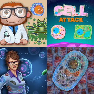 Free Educational Games: Prokaryotic and Eukaryotic Cells 6.12B - Free ...