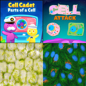 Game Based Learning: Parts of the Cell MS-LS1.A-2a - Free Educational ...