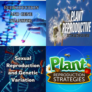 Free Lesson: Genes and Traits L.8.2A.1 - Free Games and Videos ...