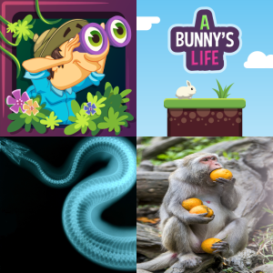 Teaching Plan: [Lima] Legends of Learning - Animal Structure and ...