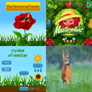 For Class: Photosynthesis 4.2a - Free Educational Games - Legends of ...