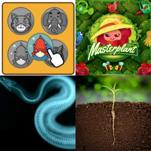 Lesson: Grouping Animals and Plants - Free Games and Assessments ...