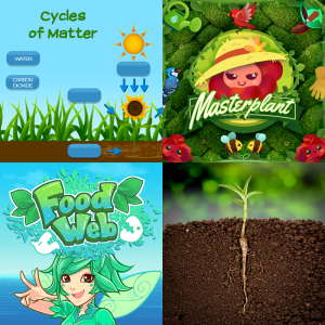 Practice: Cycles of Matter and Energy Transfer in Ecosystems ES-LS2.B-1 ...