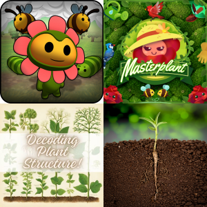 Practice: Plant Structure and Function 4.LS1.1-1a - Free Games and ...