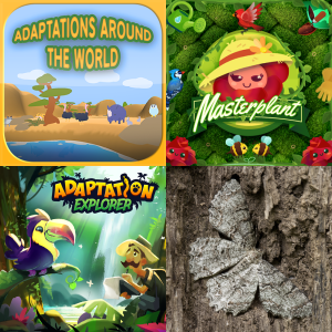 Practice: Adaptation 4.10A - Free Educational Games - Legends of Learning