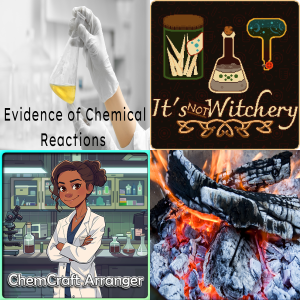 Free Lesson: Chemical Reactions: Evidence of a Reaction 6.6E - Free ...