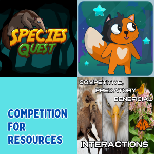 Game Based Learning: Interactions in Ecosystems 6.LS2.2 - Free Games ...