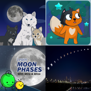 Worksheet: Phases of the Moon SC.4.E.5.2 - Free Educational Games ...