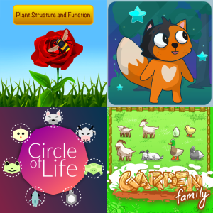 Worksheet: Life Cycles of Florida's Plants and Animals SC.4.L.16.4 ...