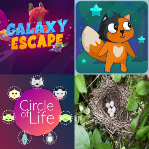 Practice: Life Cycles of Plants and Animals 3.10b Instructional Game ...