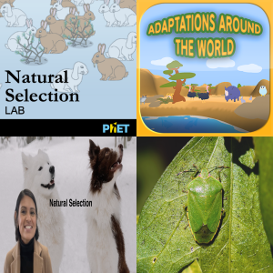 Game Based Learning: Contributions of Genetic Variation and ...