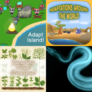 Worksheet: Adaptation 4.10A - Free Games and Videos - Legends of Learning