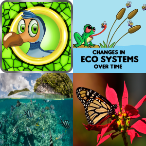Lesson: Patterns in Ecosystems 6.LS2.4 - Free Educational Games ...