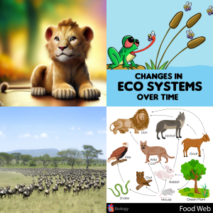 Student Lesson: Food Webs in an Ecosystem MS-LS2.B-1 - Free Games and ...