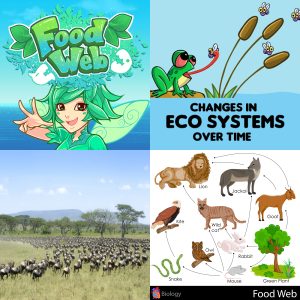 Free Homework Prep: Food Webs in an Ecosystem MS-LS2.B-1 - Free ...