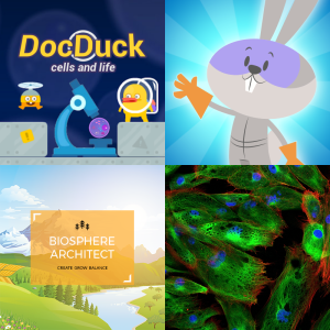 Student Lesson: Movement Of Matter Among Living Things And The ...