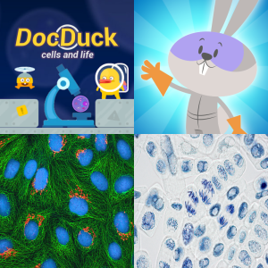 Free Educational Games: Cellular Organization - Free Educational Games ...