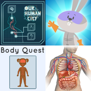 Free Homework Prep: Body Systems - Free Games and Assessments - Legends ...