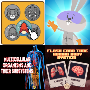 Student Lesson: Flash Card Time: Human Body System - Free Games ...