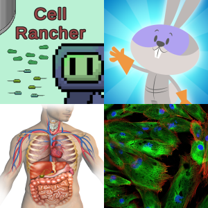 Student Lesson: 14. Talking It Over: Evaluating Clinical Trials - Free ...