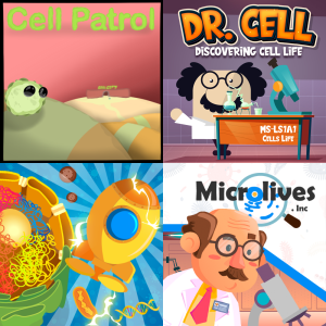 Practice: Structures and Functions of Single Celled Organisms 7.L.1.1 ...