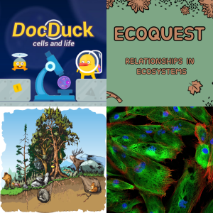 For Class: Choice Board - Free Educational Games - Legends of Learning