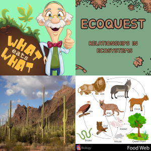 Teaching Plan: Food Webs in an Ecosystem MS-LS2.B-1 - Free Educational ...