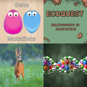 Free Lesson: Genes and Heredity SC.7.L.16.1 - Free Educational Games ...