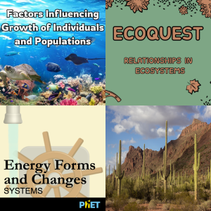 Free Homework Prep: Conservation of Energy MS-PS3.B-1 - Free Games ...