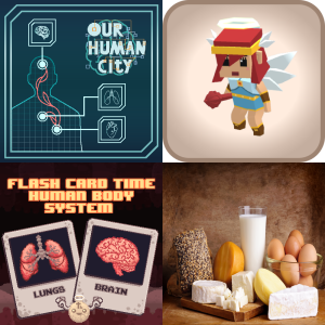 Worksheet: Body systems and Metabolic Reactions - Free Educational ...