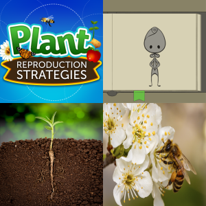 Lesson: Plant Reproduction Strategies MS-LS1.B-2 - Free Educational ...
